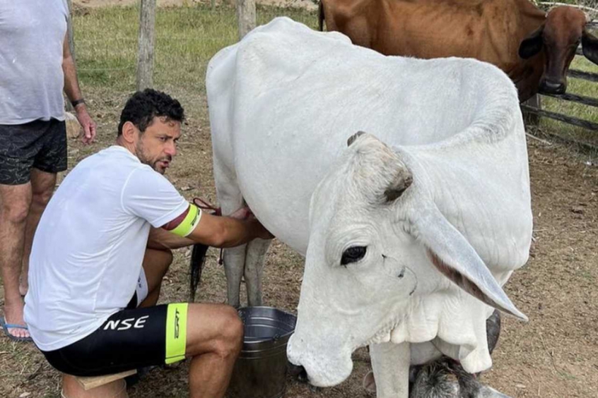 Vida de aposentado: Fred posta vídeo tirando leite de vaca | LANCE!
